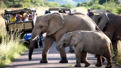 MoAfrika Tours - Its All About Travel